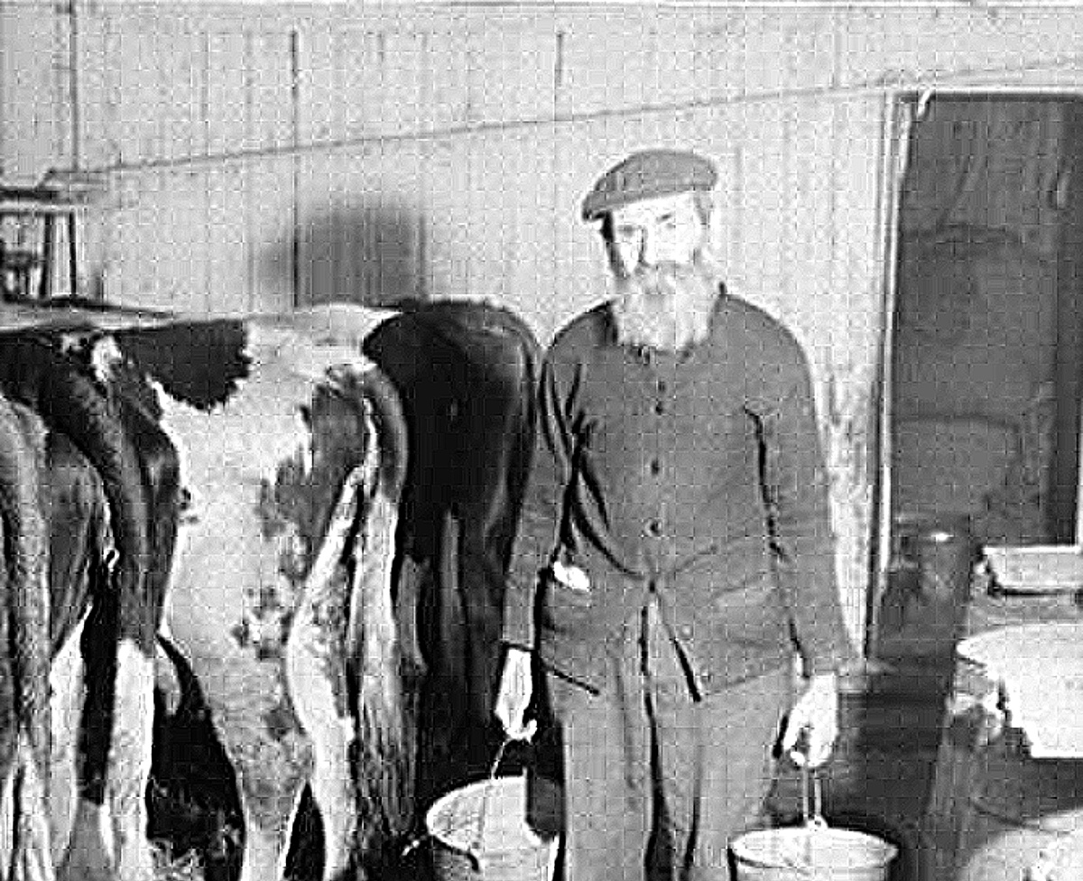 Connecticut's Jewish Farmers and the Baron Who Backed Them - New ...
