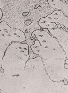 Myles Standish and the Lost Colony of Massachusetts - New England ...