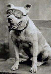 Vermonter Horatio Nelson Jackson First to Take Auto Trip Across America ...